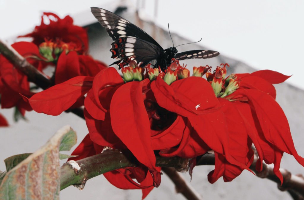 About Us - Every Link Matters